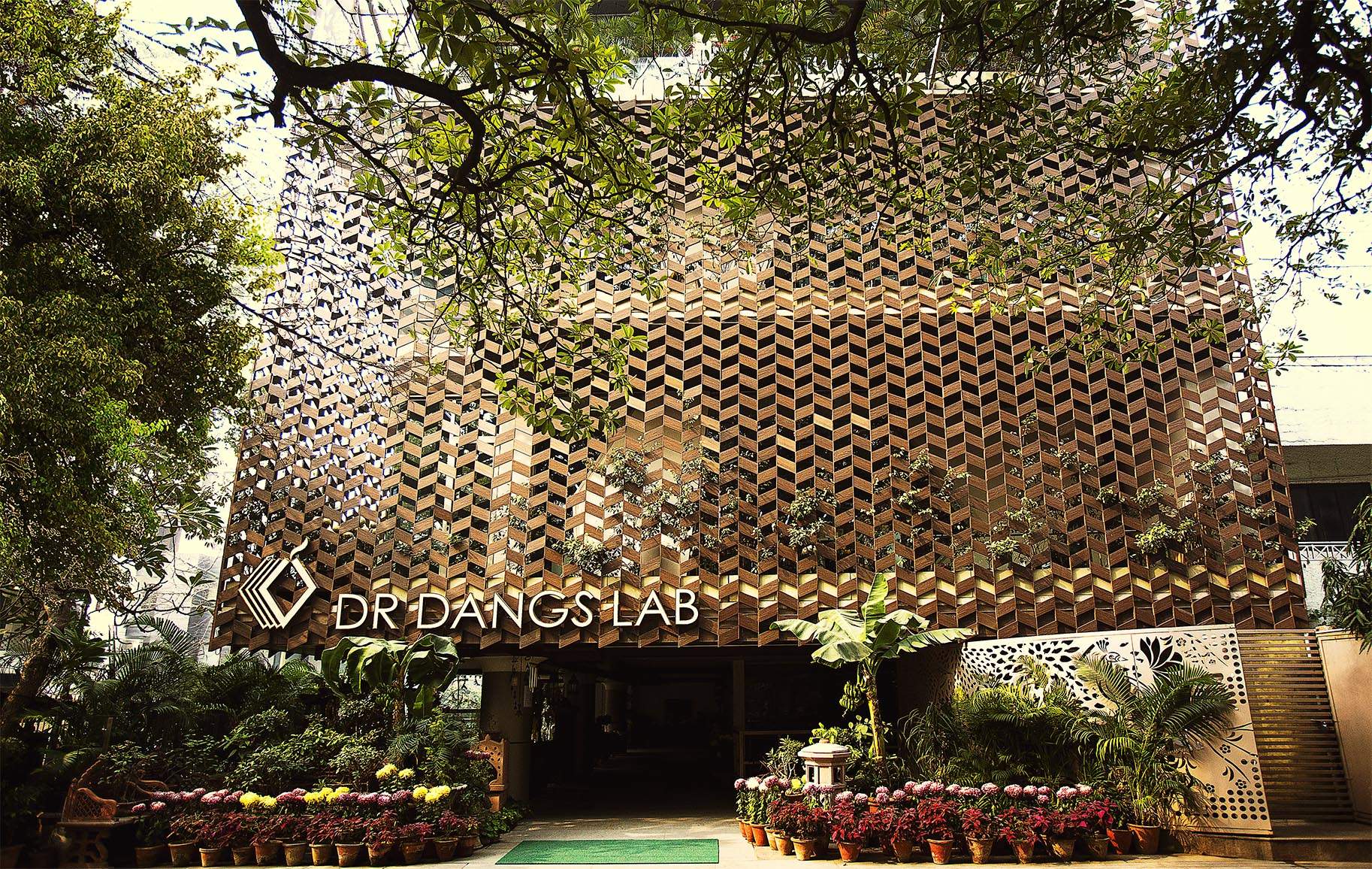 Dr. Dang | The Last Word